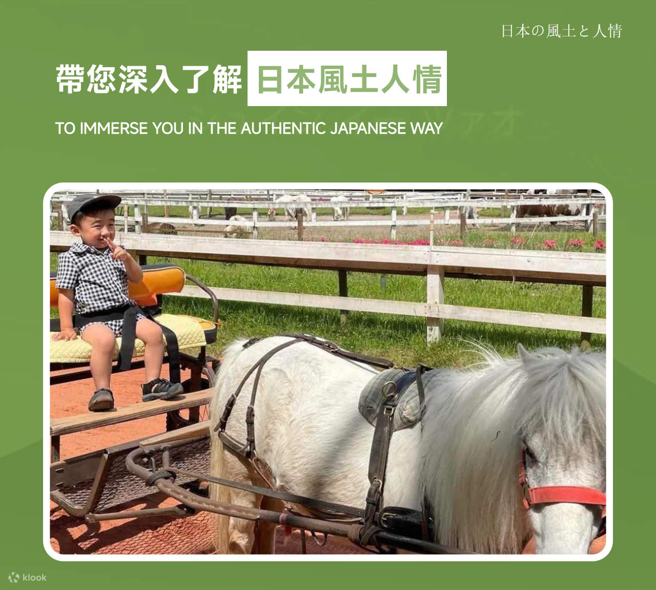 [Must-Do for Families] Fuji Safari Park × Oshino Hakkai × Oishi Park ...